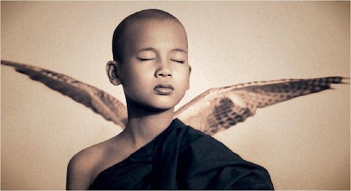 ASHES AND SNOW FOTOGRAFIAS DE GREGORY COLBERT